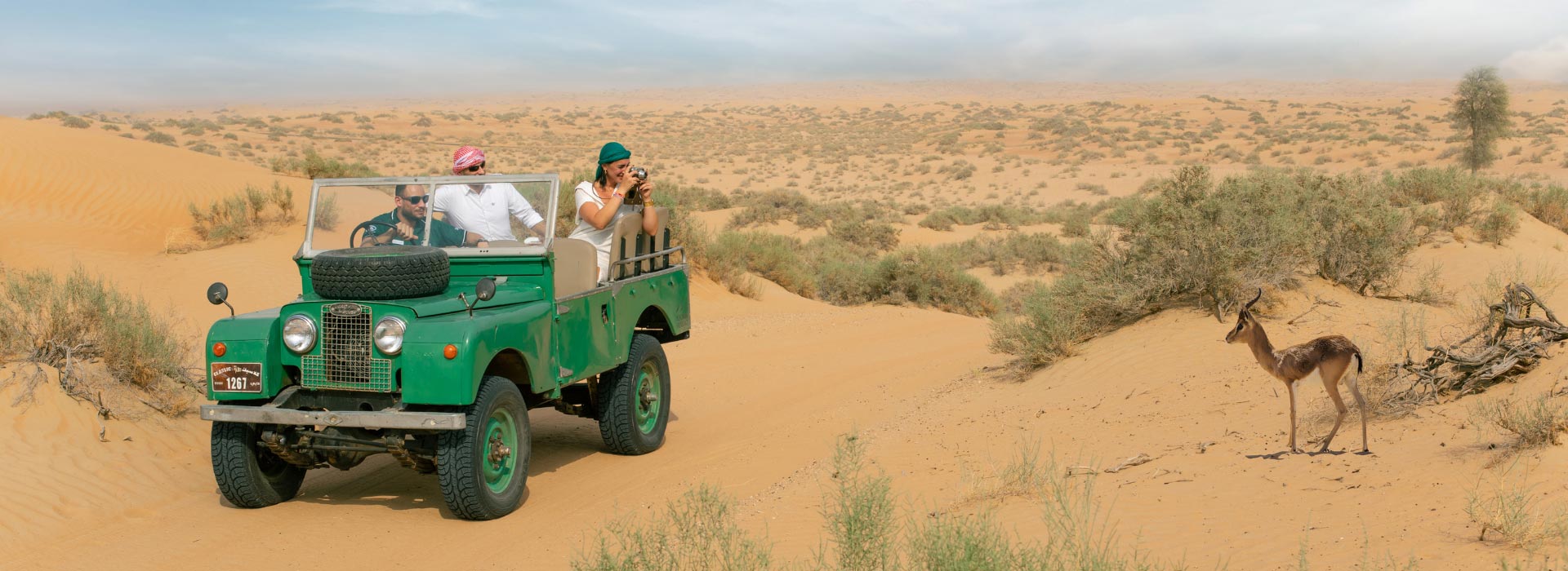 Native plants of Dubai