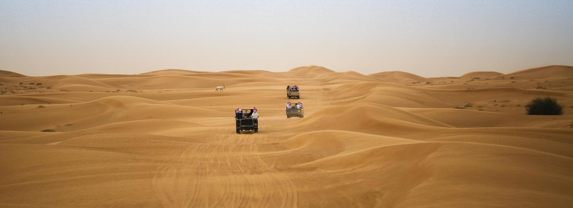 A Desert Safari in the Dubai Desert Conservation Reserve